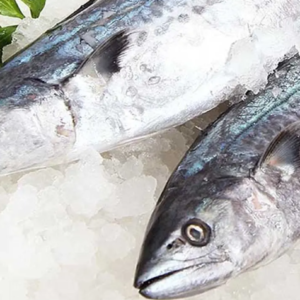 Sea to C Seafood – Seafood Shop
