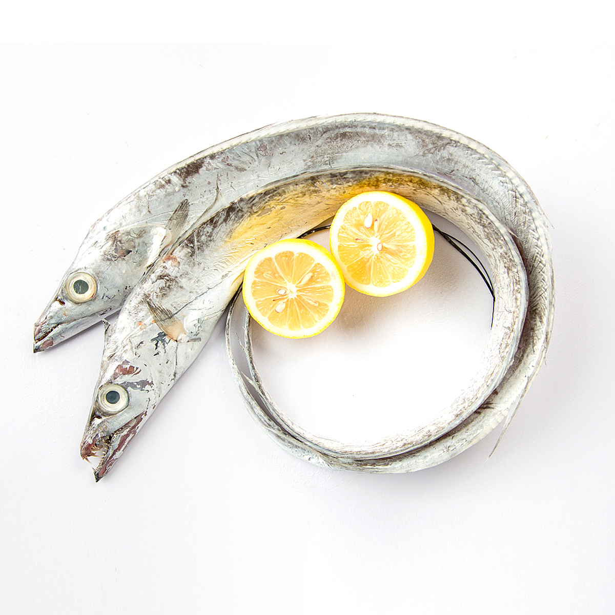 Longfish – Sea to C Seafood