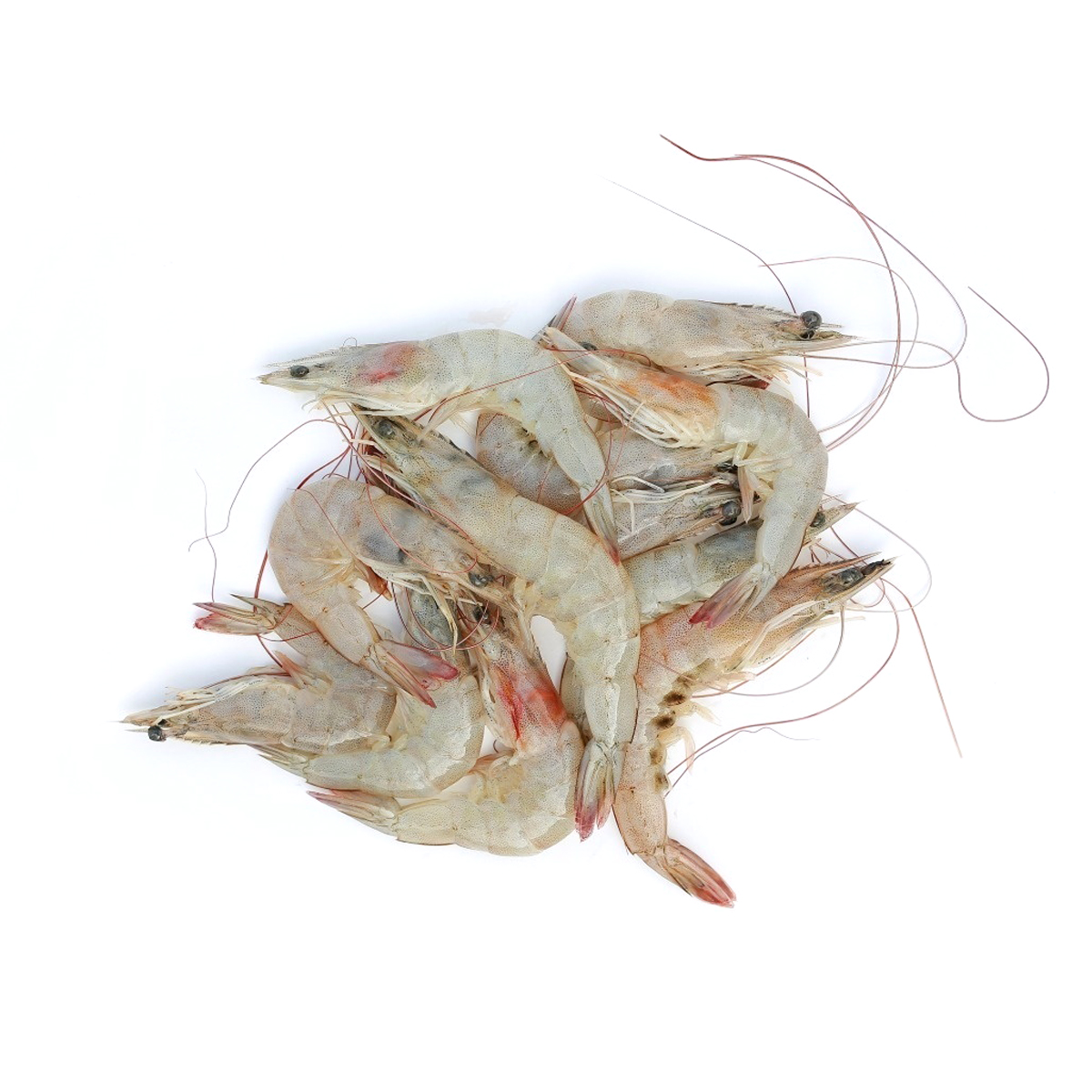 Sea to C Seafood – Seafood Shop