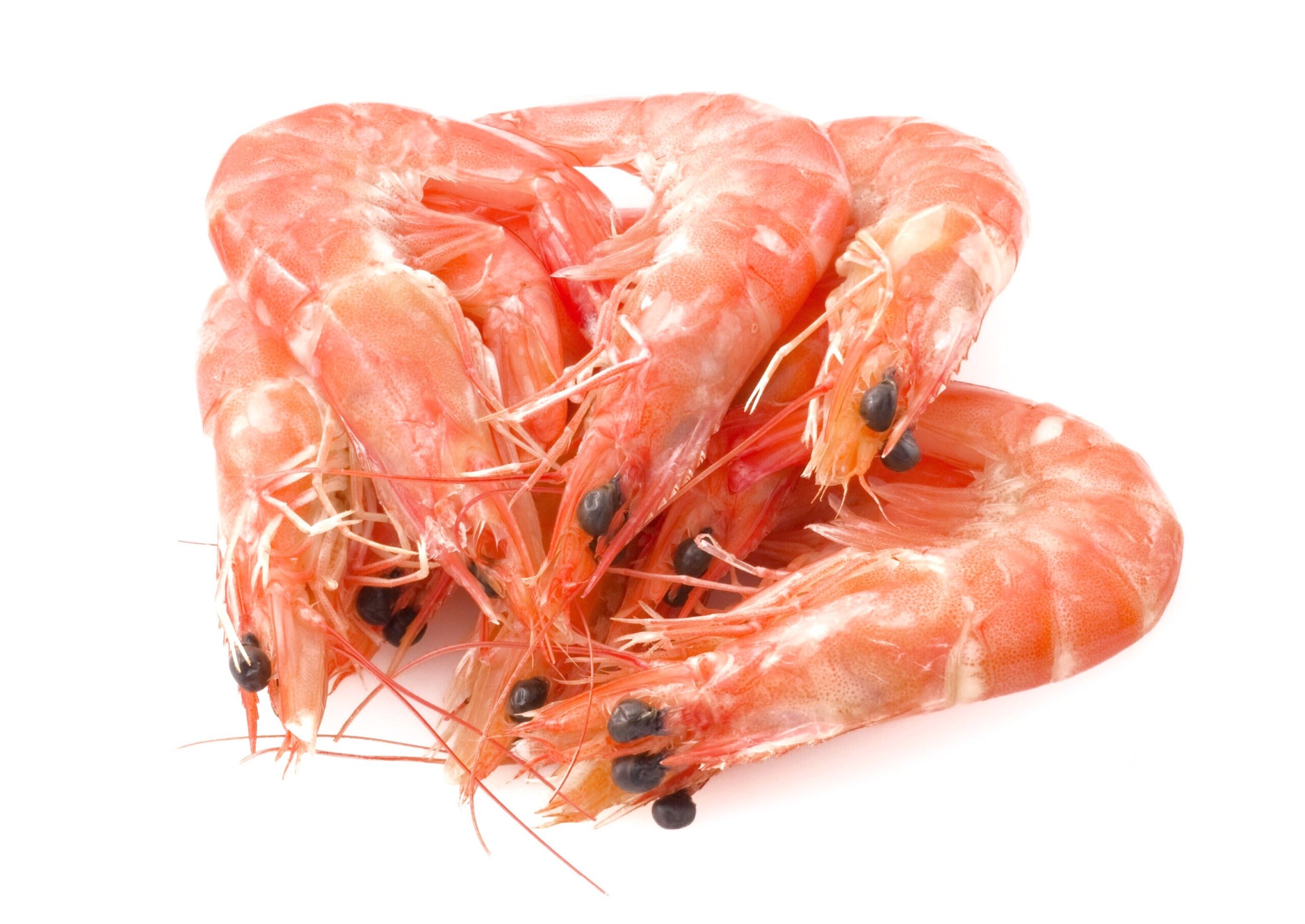 K1/B1 prawns/shrimps – Sea to C Seafood