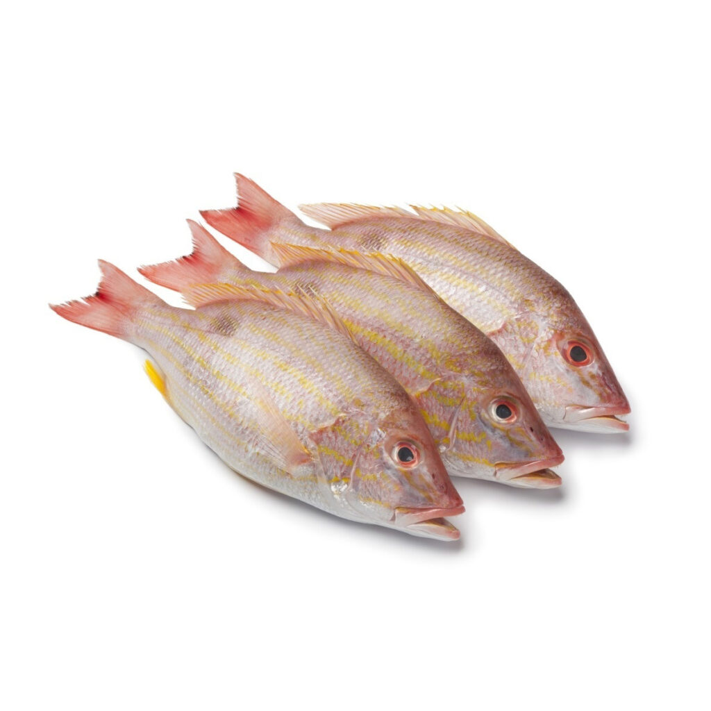 Red Snapper – Sea to C Seafood
